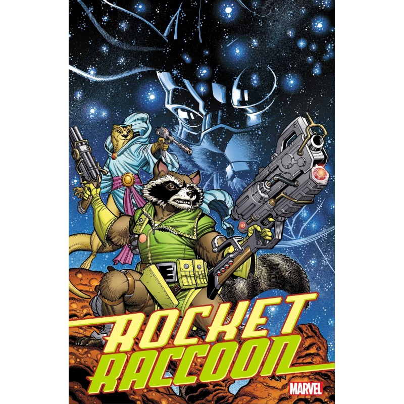 Raccoon Superhero